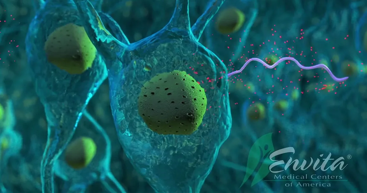 Biofilm and Antibiotic Resistance in Lyme Disease