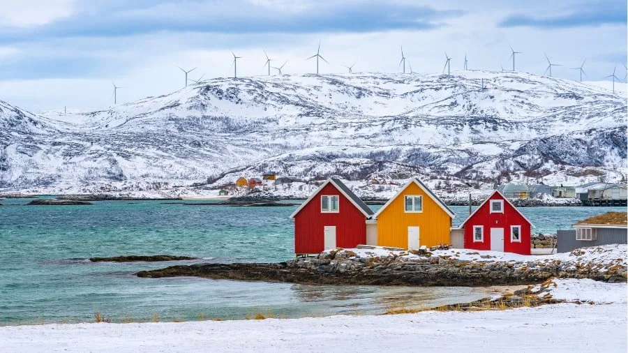 Meet The Locals of Sommarøy | Norway Excursion | Hurtigruten APAC