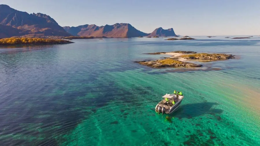 Safari à la découverte de la faune de Senja| Excursion et croisière en ...
