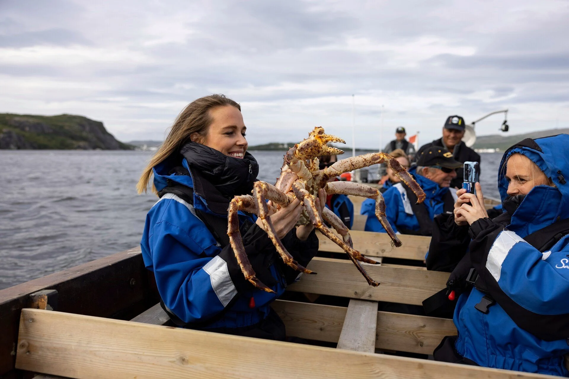 Red King Crab | Wildlife in Norway | Hurtigruten AU