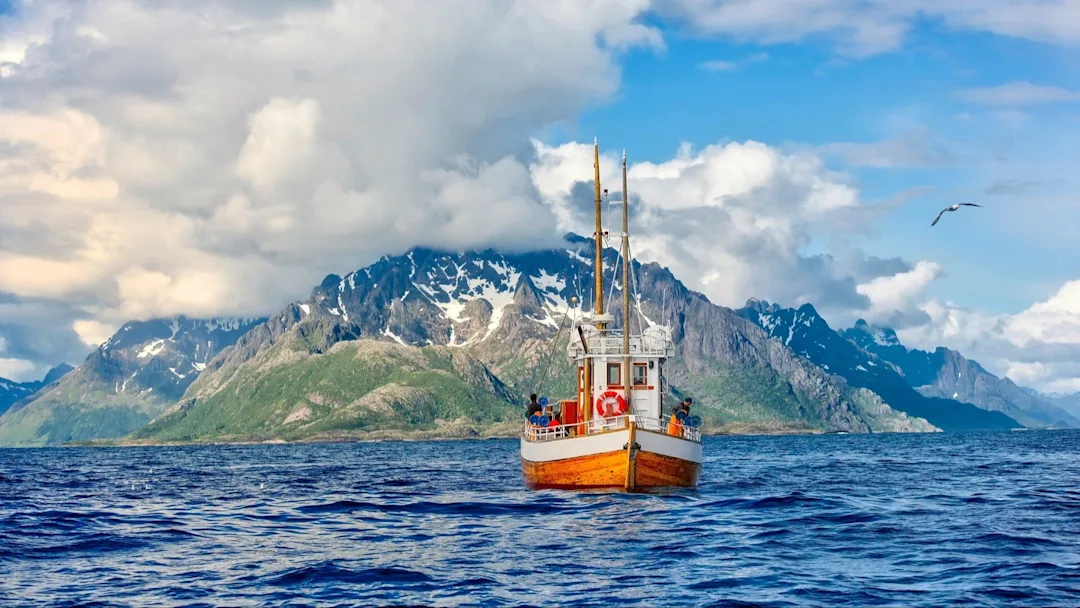 Fish of Norway | Norwegian Wildlife | Hurtigruten US