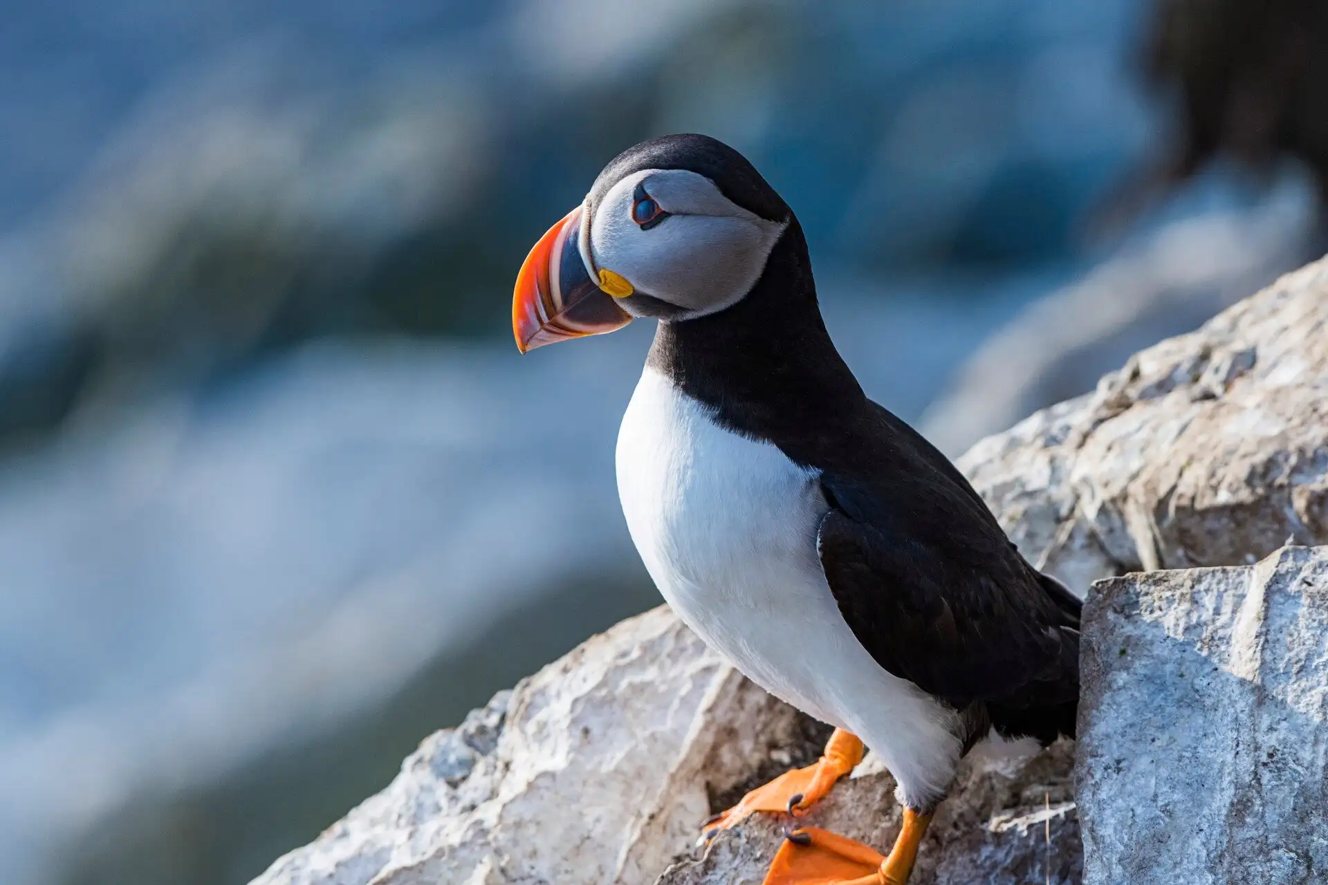 Norvège en Avril : Météo et Itinéraires | Hurtigruten FR