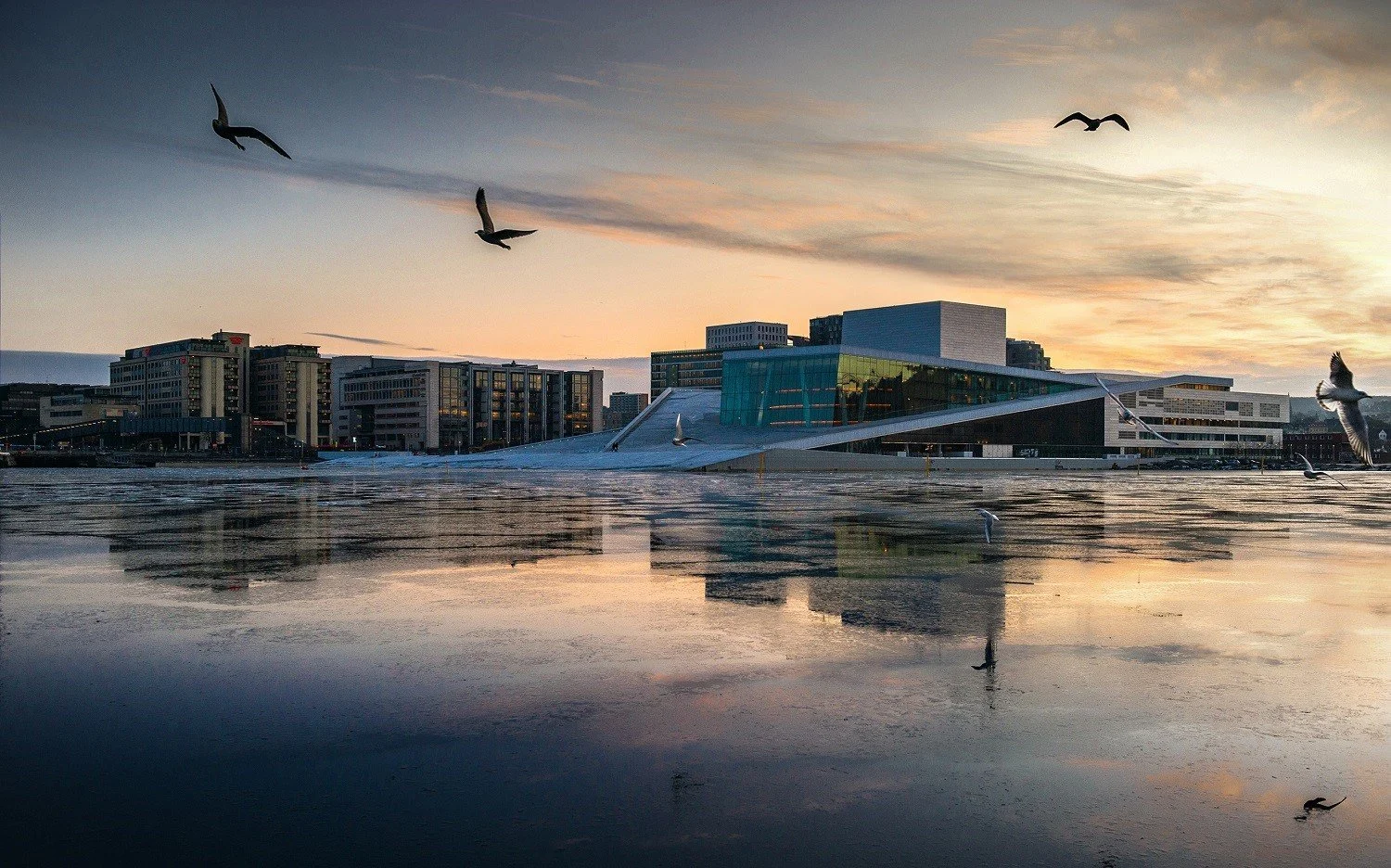 10 reasons to sail The North Cape Line | Hurtigruten US