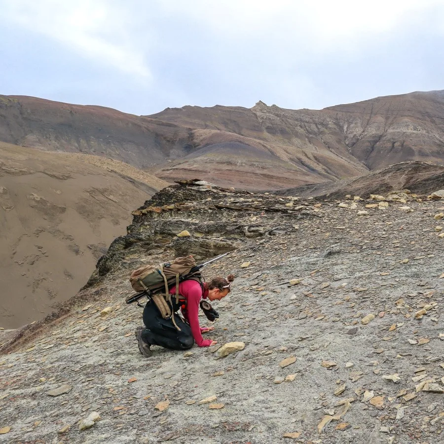 Hike and Fossil Hunt | Svalbard Cruise Excursion | Hurtigruten US