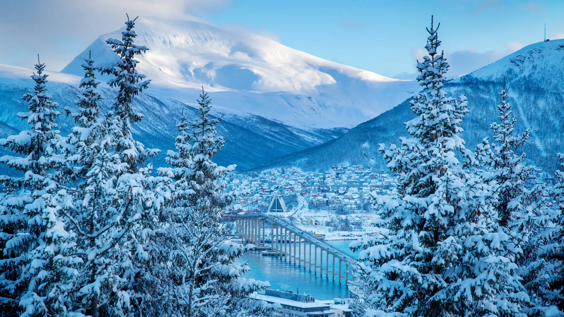 Norway & Norwegian Fjord Cruises 2028 | Hurtigruten UK