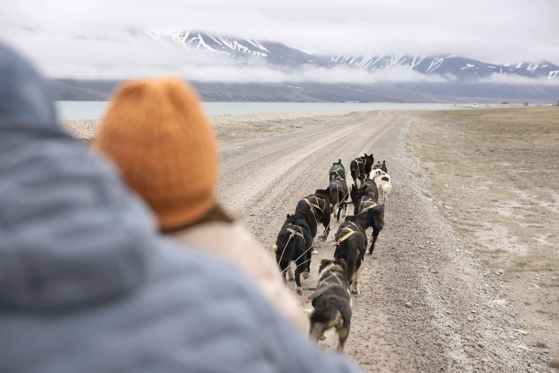 Svalbard Travel Guide | Everything you need to know about Svalbard ...