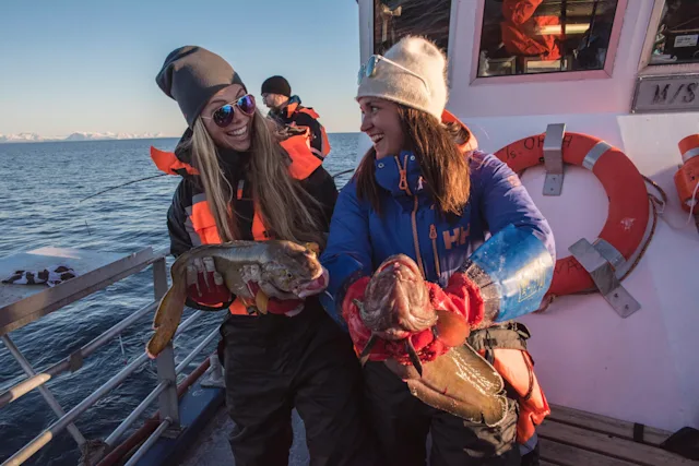 Fish of Norway | Norwegian Wildlife | Hurtigruten US