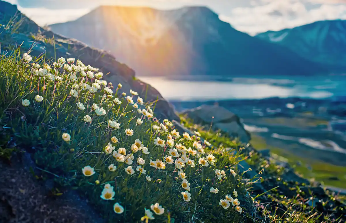 Spring in Norway | Norwegian Spring | Hurtigruten