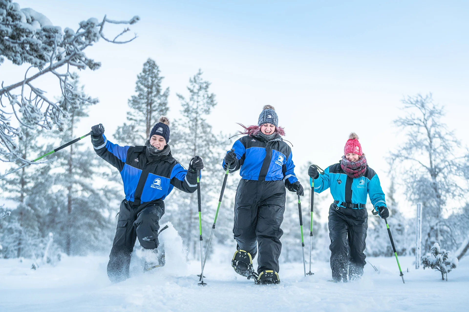 A Nordic Winter Journey | Finland and Norway Tour | Hurtigruten AU