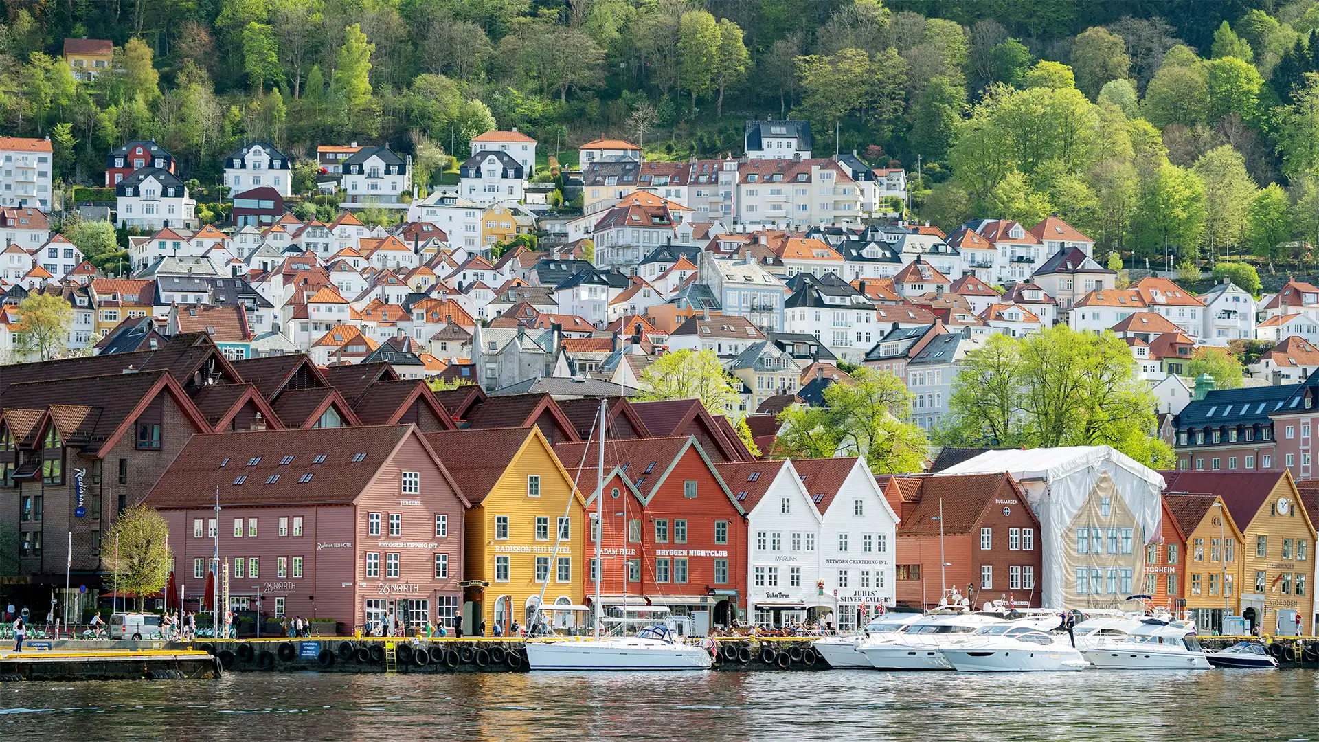 Guide to Visiting Norway in Autumn | Hurtigruten