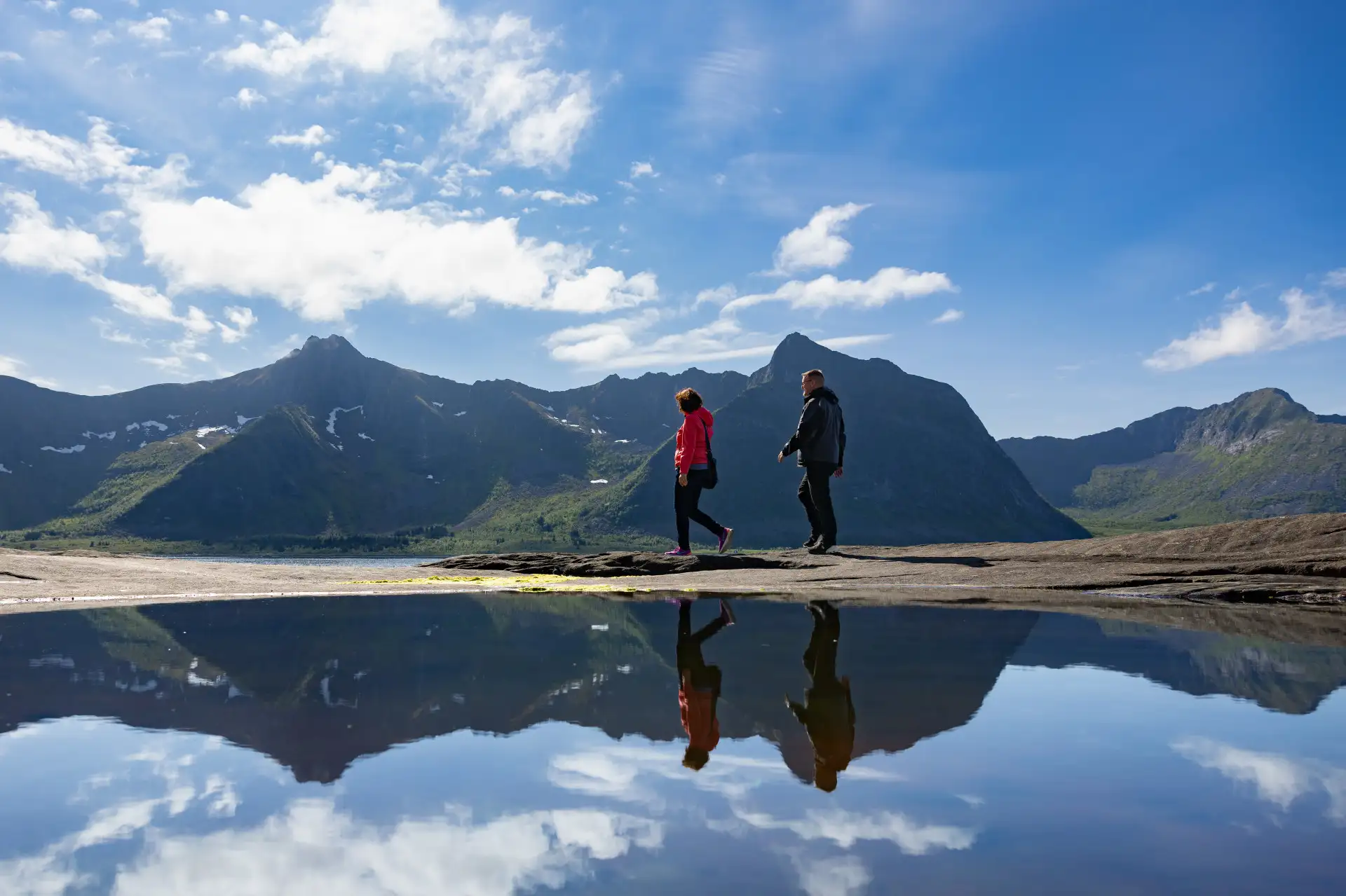 Senja Scenic Route by Bus | Excursion | Hurtigruten US