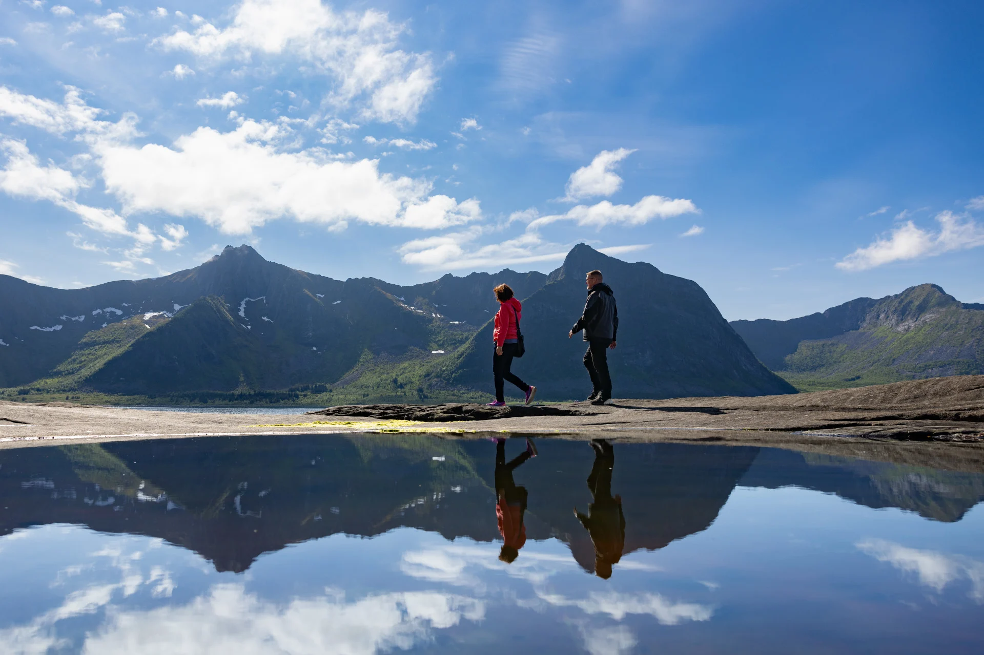 Senja Scenic Route by Bus | Excursion | Hurtigruten AU
