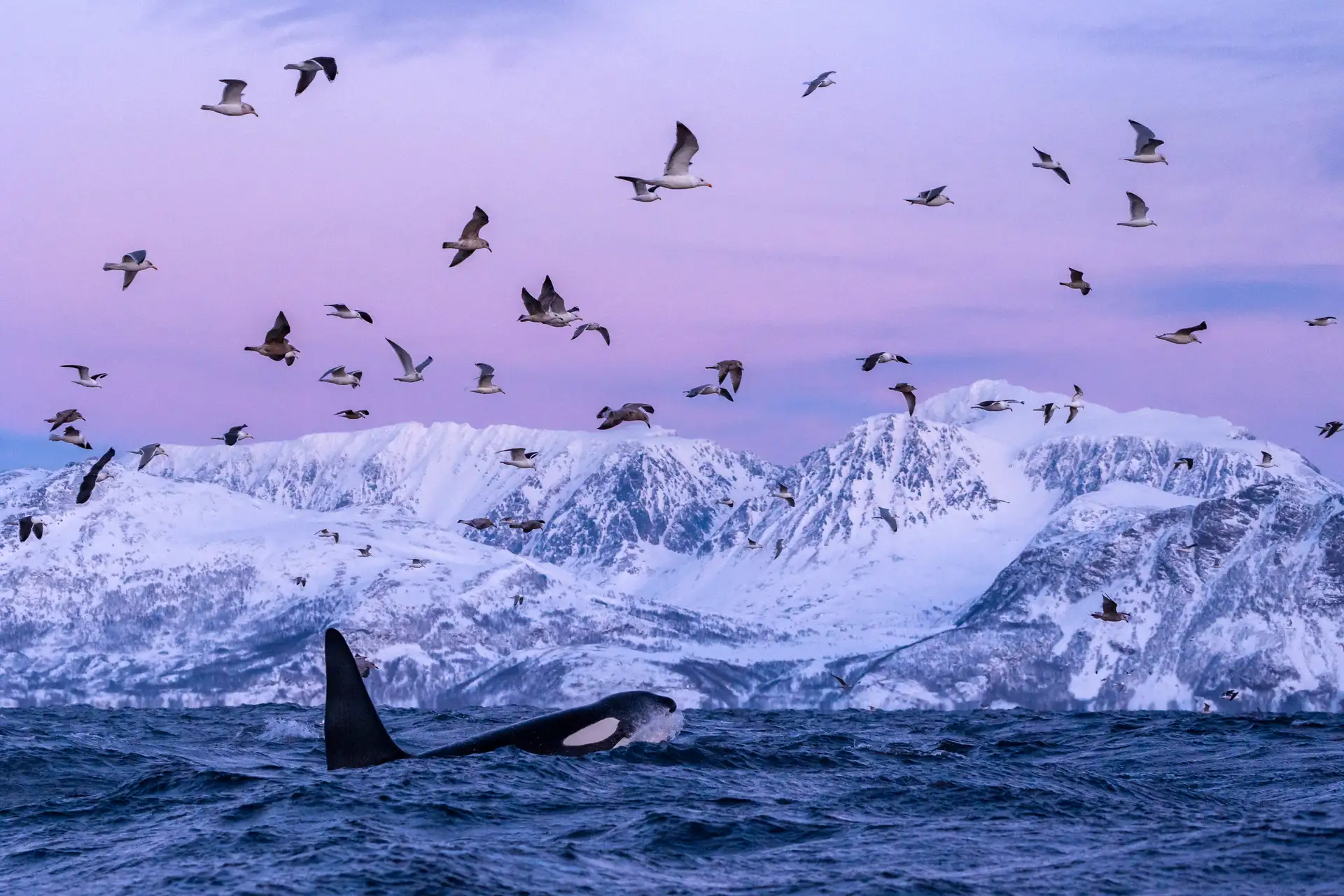 Visiting Norway in September Travel Guide | Hurtigruten UK