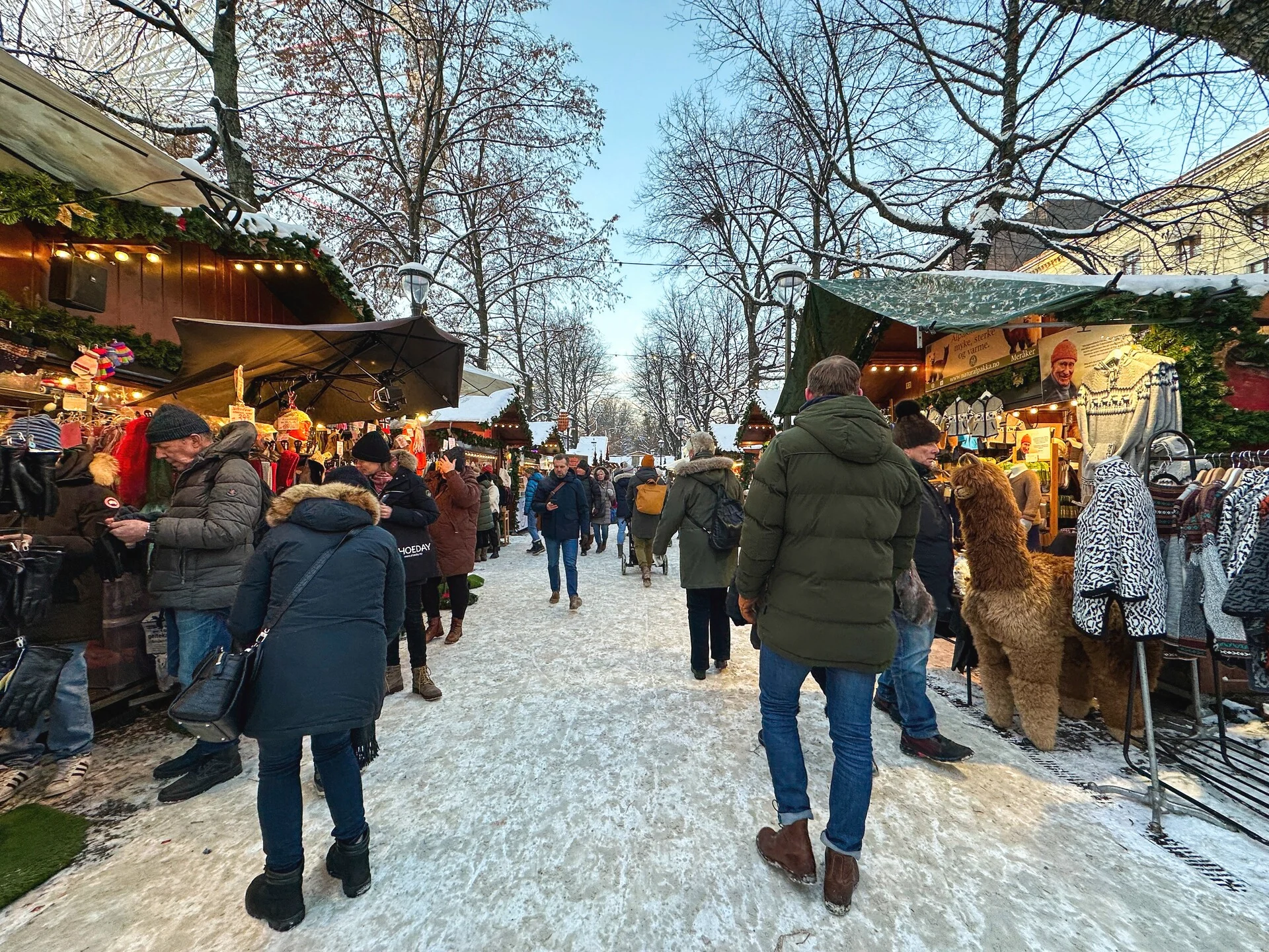 The Best Christmas Markets in Norway | Hurtigruten US