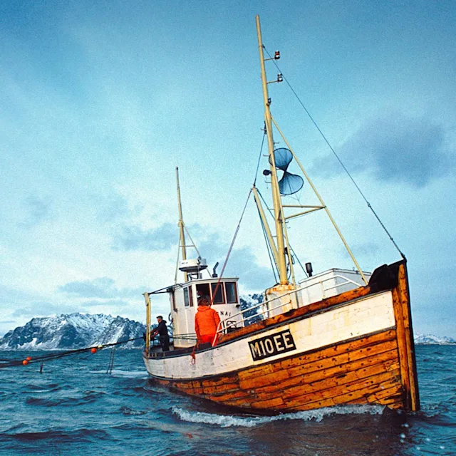 Norway Traditional Food | Norwegian Dishes | Hurtigruten APAC