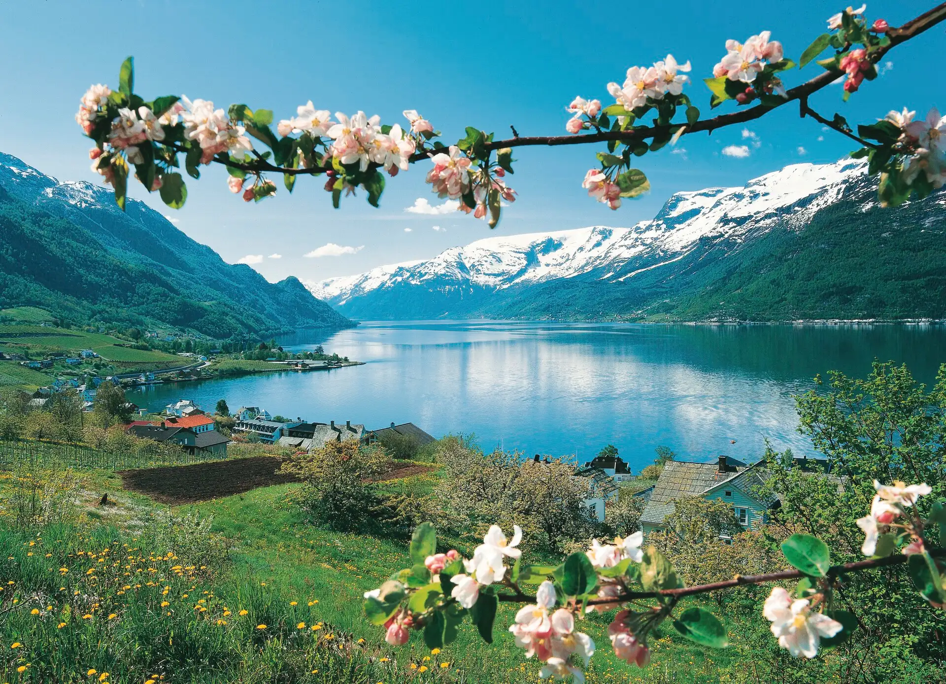 Norse myths and legends | Learn more about Norwegian folklore | Hurtigruten