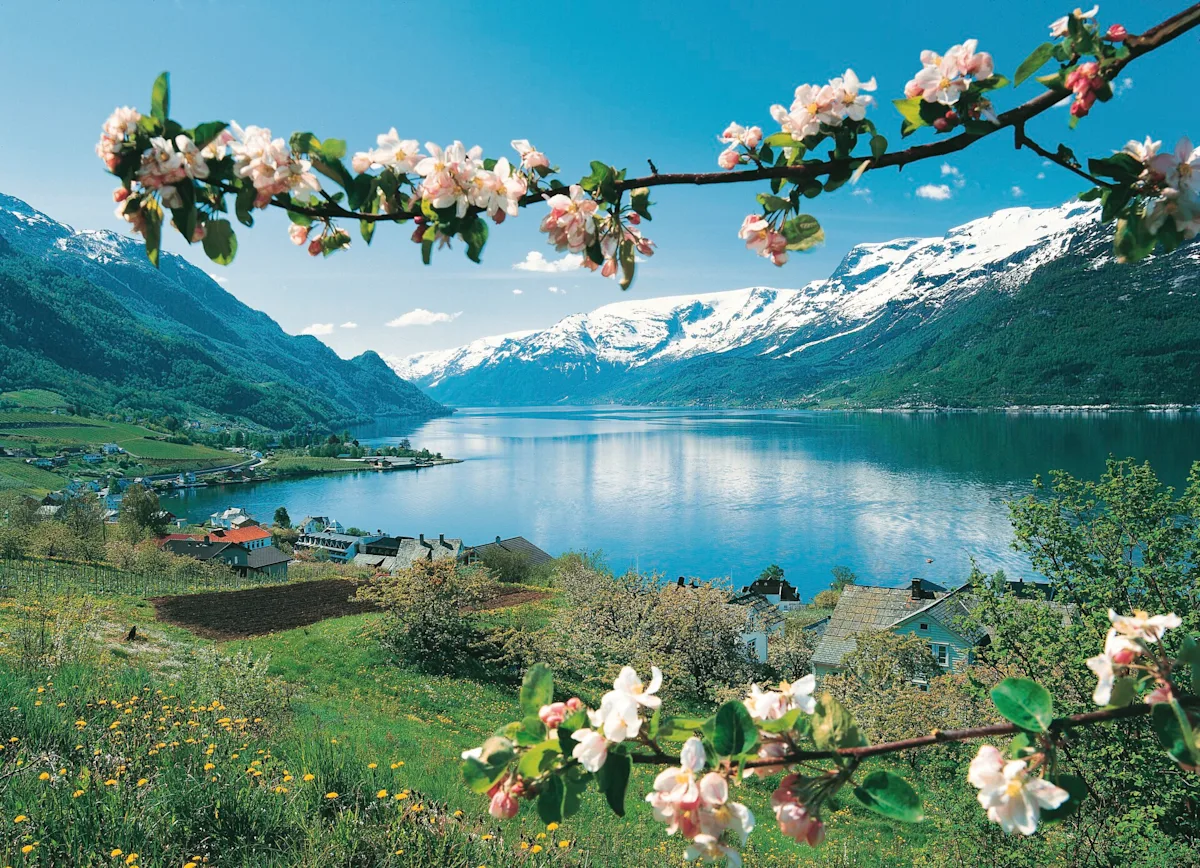 Experience Authentic Traditional Norwegian Food | Hurtigruten