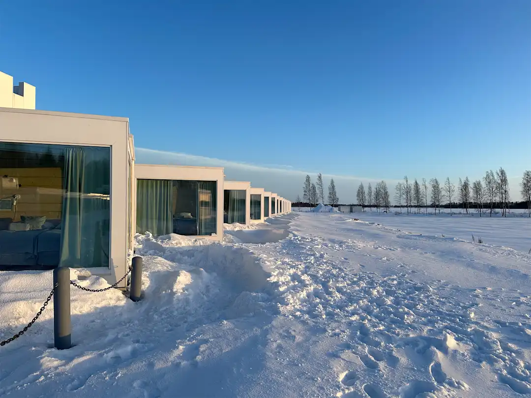 Savour the Northern Lights on The Arctic Line South | Hurtigruten AU