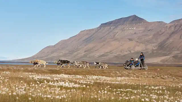 Svalbard Line 2026 2027 | Midnight Sun Cruise | Hurtigruten