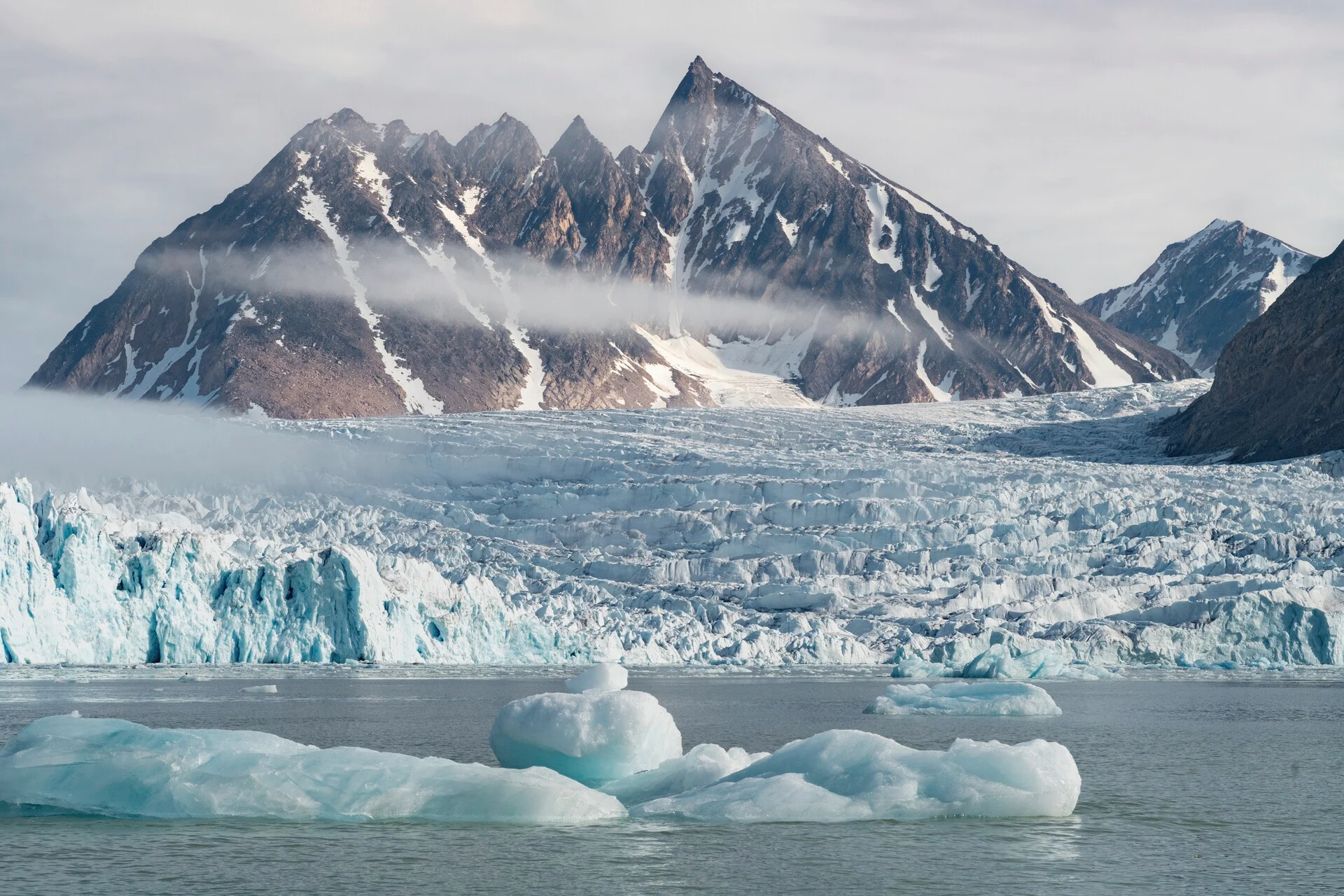 Natur og dyreliv på Svalbard | Lær mer om dyrelivet i Arktis ...