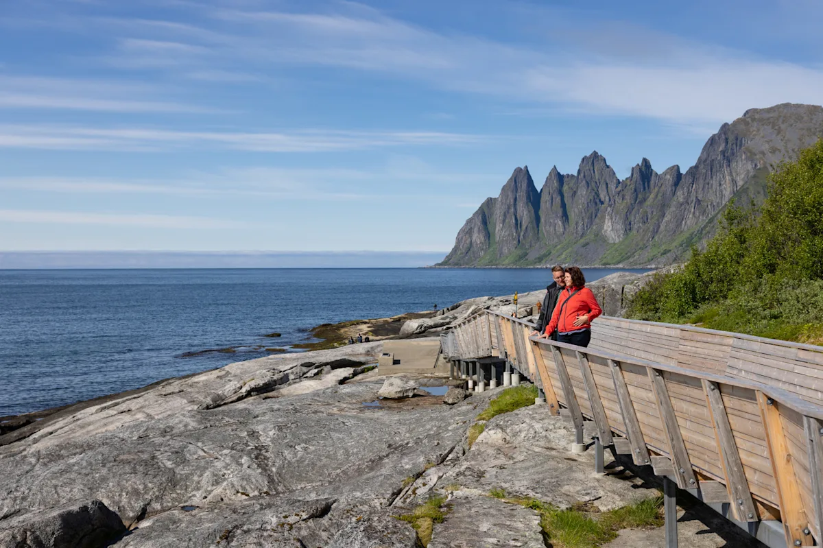 Senja Scenic Route by Bus | Excursion | Hurtigruten US