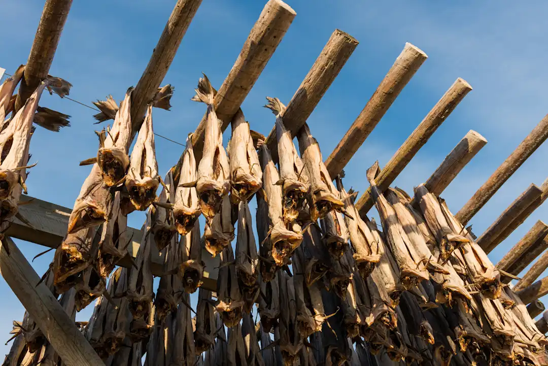 Stokmarknes Travel Guide | Visit Stokmarknes | Hurtigruten