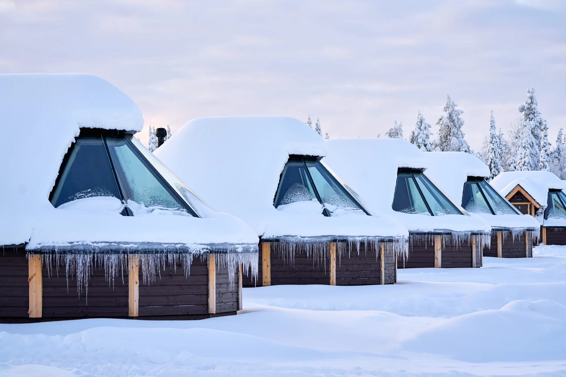 Savor the Northern Lights | 2025/26 | North Cape Line South ...