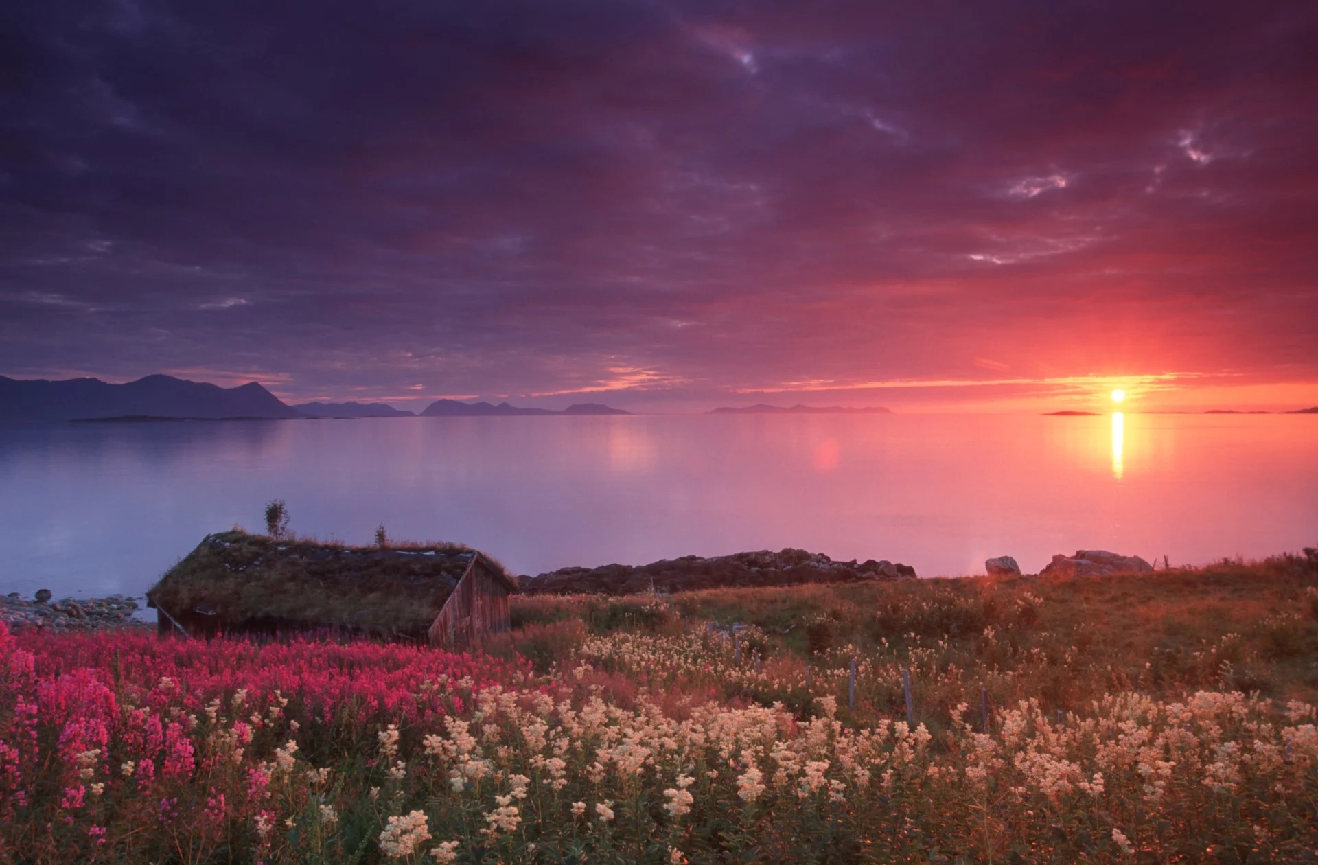 Visiting Norway in May | What to do in May | Hurtigruten UK