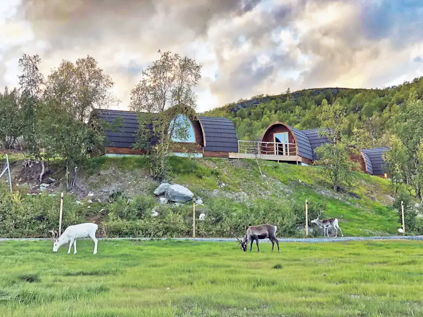 Discover Norway Tour with a stay in an Arctic Cabin | Hurtigruten US