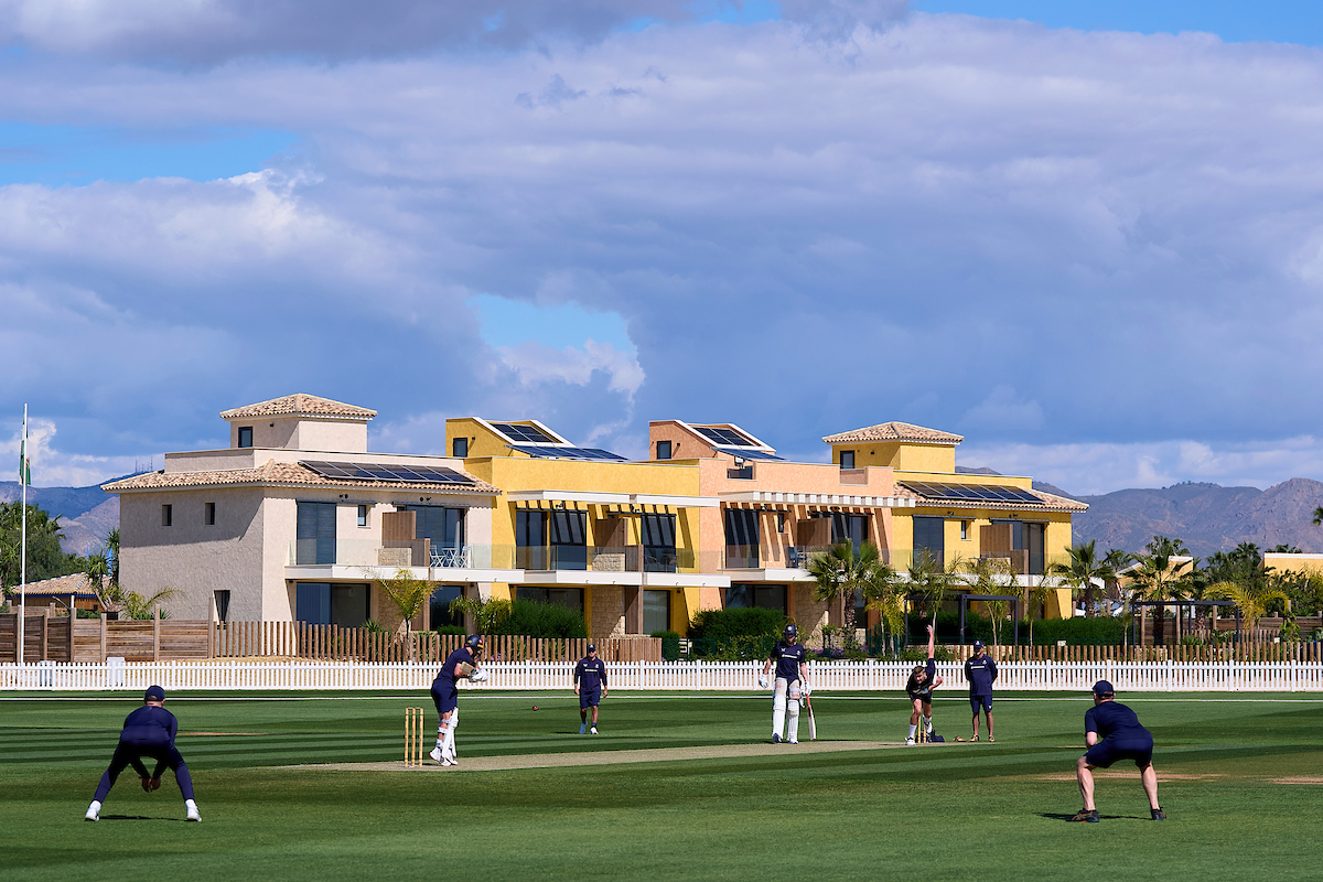 Cricket | Desert Springs | Desert Springs
