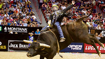 Alves enjoyed storied history with Asteroid | PBR | Professional Bull Riders