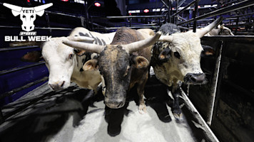 YETI Bull Week: A celebration of the bovine athletes of the PBR | PBR ...