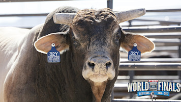 Bruiser wins historic second World Championship | PBR | Professional ...