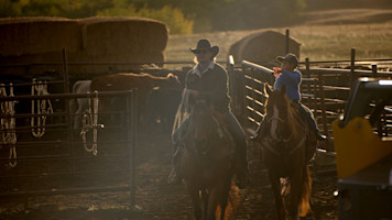 Dakota Louis on single fatherhood and being a role model | PBR ...