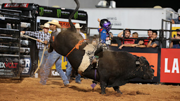 Miniature Bull Riders and Shorty Gorham’s American Freestyle ...
