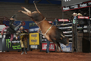 Through the lens: Top 12 bull scores of the first half of 2020 | PBR ...