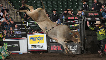 By the Numbers: Ridin Solo holds slim lead in 2022 YETI World Champion ...