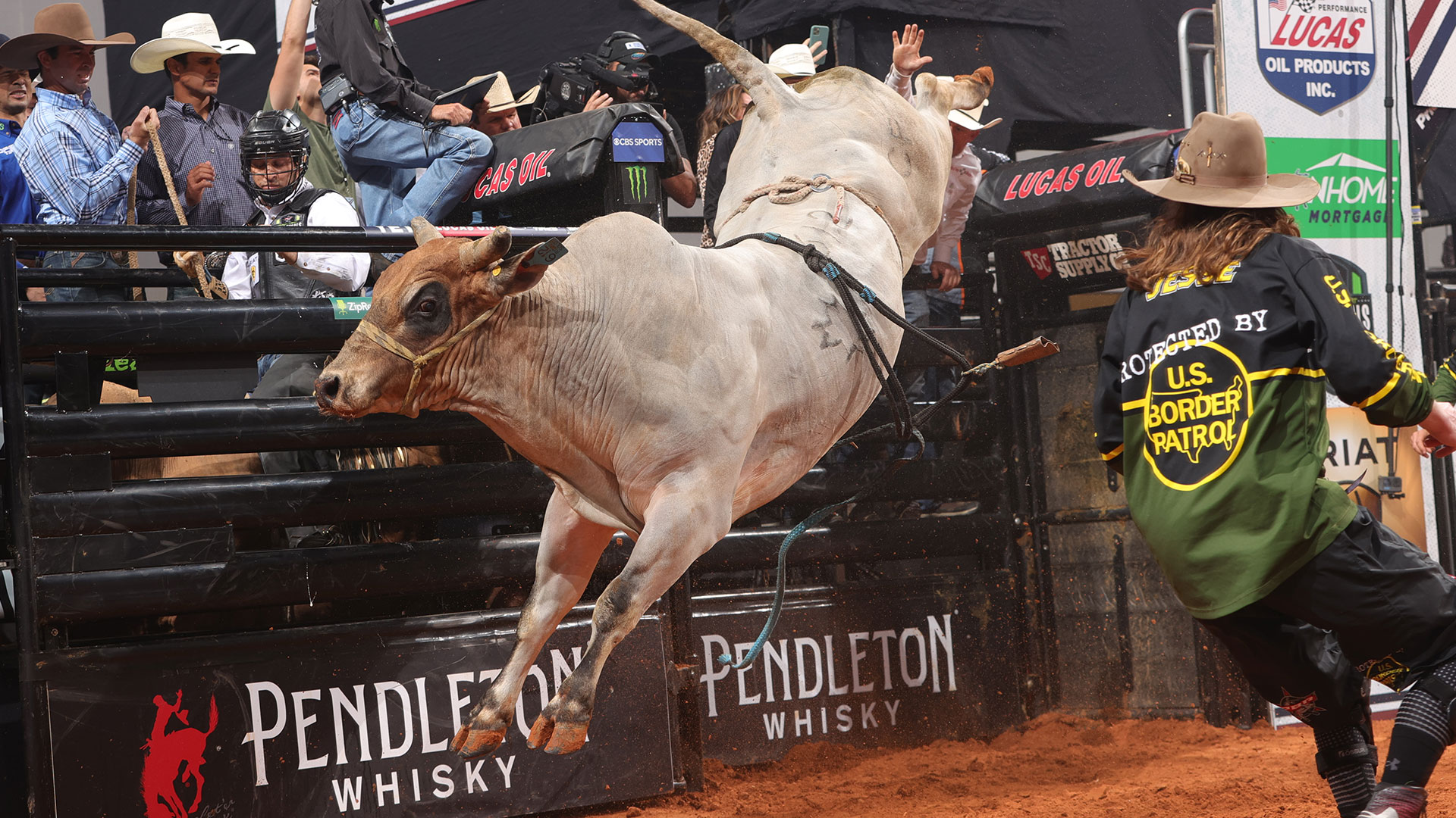 What to Watch For: Ridin Solo set to make 2023 debut in Albany | PBR ...