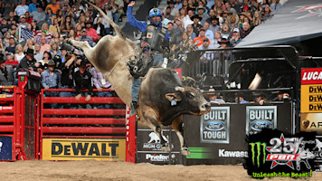 Bruiser can tie Little Yellow Jacket’s record in 2018 | PBR ...