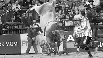 Looking back at SweetPro’s Bruiser’s three YETI World Champion Bull ...