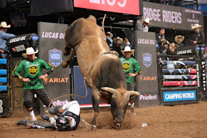 Behind the Lens: YETI Fan Favorite Bull Finalists | PBR | Professional ...