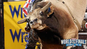 SweetPro’s Bruiser named PRCA Bull of the Year, could join Bodacious in ...