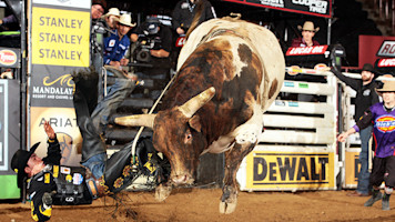Decatur to showcase BFTS caliber bulls | PBR | Professional Bull Riders
