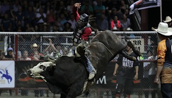 Vold Rodeo’s Up Shift steals show at Armstrong, British Columbia ...