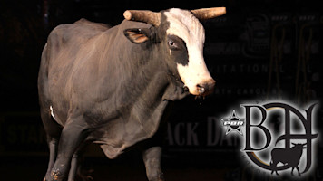 Bones to be honored among legendary bulls | PBR | Professional Bull Riders
