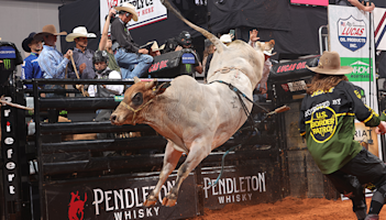 From the Vault: Looking back at Ridin Solo’s 2022 YETI World Champion Bull title | PBR ...