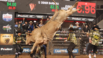 Man Hater snaps streak of 46-point bull scores, still has World ...