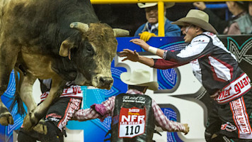 8 questions with Cody Webster | PBR | Professional Bull Riders