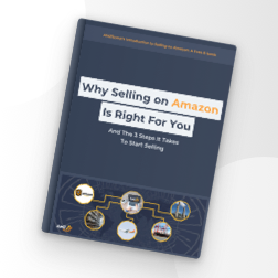 Selling Wholesale on Amazon - Is it right for you?