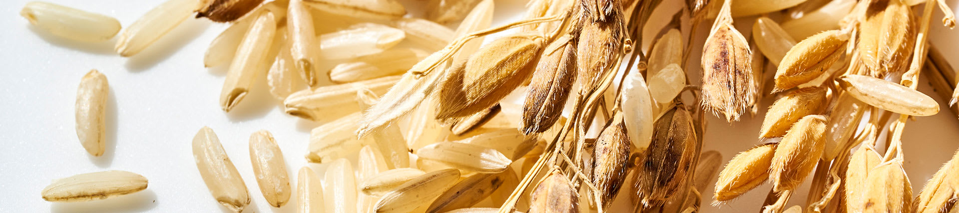 Quels sont les bienfaits du lait de riz pour les cheveux? | Herbal Essences